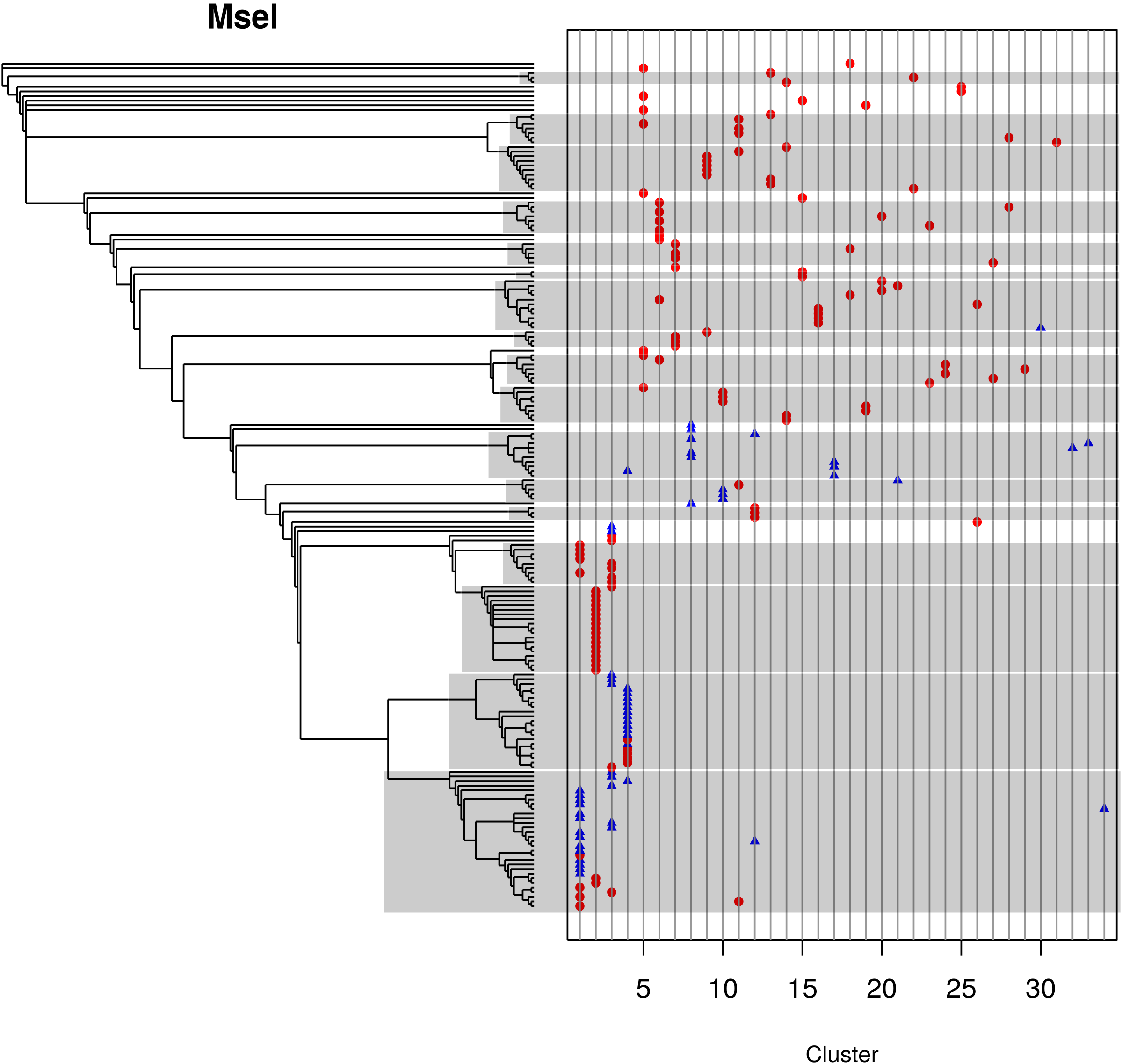 Stellar Evolutionary Tracks | Astrocladistics
